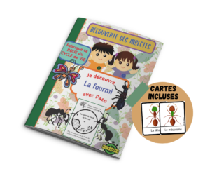 La fourmi - Fiches d'activité
