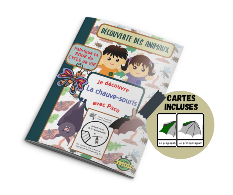 La Chauve-Souris + Cartes d'Anatomie