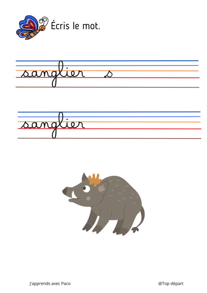 Activités animaux de la forêt maternelle : Fichier Cycle 1