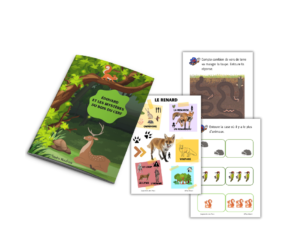Animaux de la forêt - Album + Dossier pédagogique