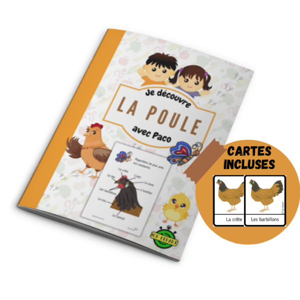 La reproduction de la poule - Fiches d'activité