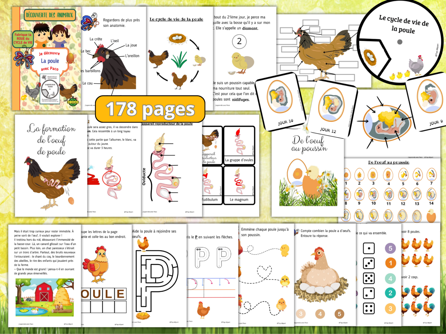 La poule Méga Pack 178 fiches d'activités