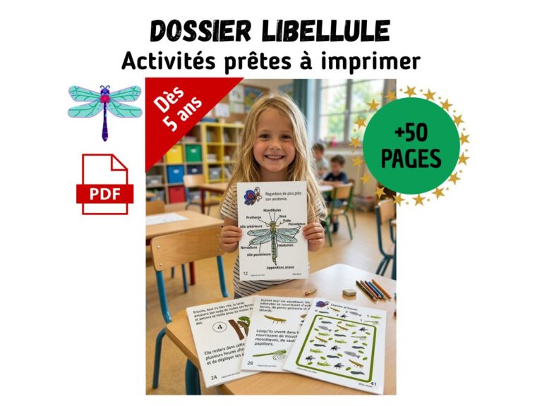 Dossier Papillon : +60 p. d'Activités (GS, CP, CE1) à Imprimer