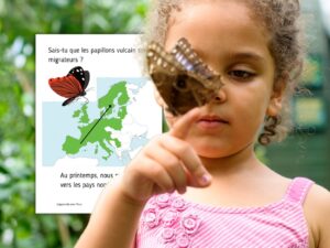 Dossier Papillon : +60 p. d'Activités (GS, CP, CE1) à Imprimer