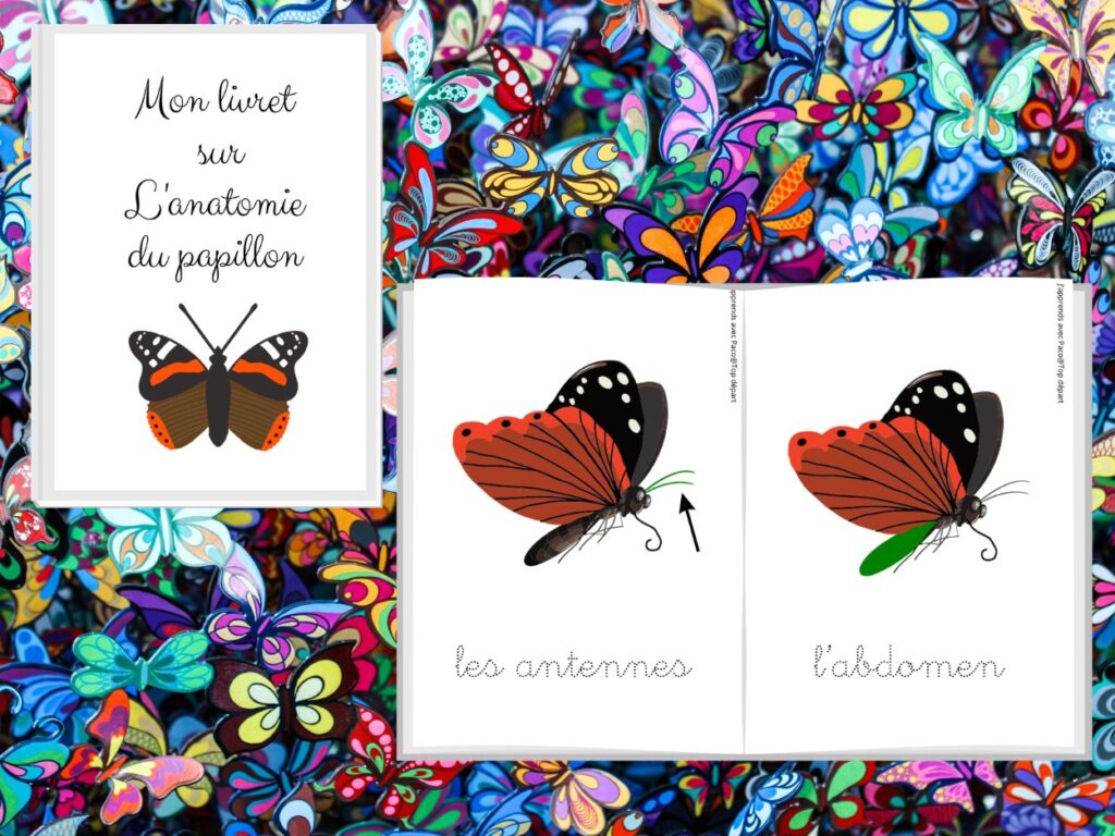 Dossier Papillon : +60 p. d'Activités (GS, CP, CE1) à Imprimer